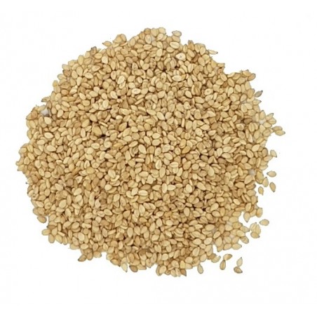 Graine de Sésame complet Bio